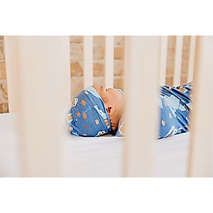 Copper Pearl Large Premium Knit Baby Swaddle Receiving Blanket Cookie Monster