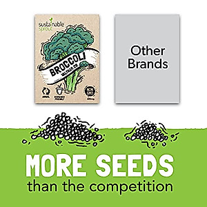 Vegetable Seeds for Planting Variety 20 Pack — Heirloom Vegetables Seeds —Tomatoes,Lettuce,Beets,Bell Pepper,Zucchini, Broccoli,Beans,Cabbage,Cauliflower,Onion,Cucumber & Other Vegetable Garden Seeds