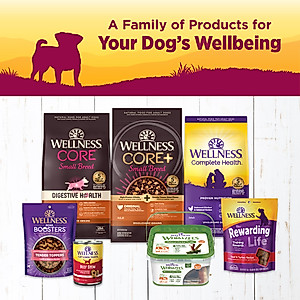 Wellness Petite Entrées Mini-Filets with Roasted Chicken, Beef, Carrots & Green Beans in Gravy, 3-Ounce Cup (Pack of 12)