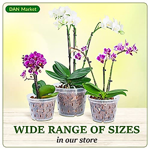 DAN Market 4.5 inch Orchid Pots with Holes - Orchid Pots for Repotting - Orchid Breathable Slotted Clear Plastic Pot (4.5 inch 4 Pack)