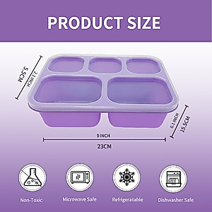 NOEAIKE 4 Pack Snackle Box Container,Lunchable Container Bento Box for Kids & Adult 5-Compartment Food Containers for Storage Fruit,Veggie,Charcuterie,Suitable Picnics,Party,School,Work and Travel
