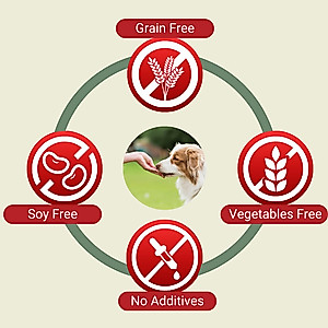 My Pet Carnivore Duck Feet for Dogs All Natural Dog Chew Single Ingredient Dehydrated Duck Feet Without Nails Strengthens Muscles, Immunity, and Digestion (10 PCs)