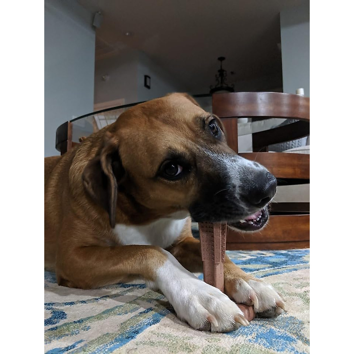 SPOT Bam-bones PLUS T Bone - Bamboo Fiber & Nylon, Durable Long Lasting Dog Chew for Aggressive Chewers – Great Toy for Adult Dogs & Teething Puppies under 60lbs, Non-Splintering, 6in, Chicken Flavor