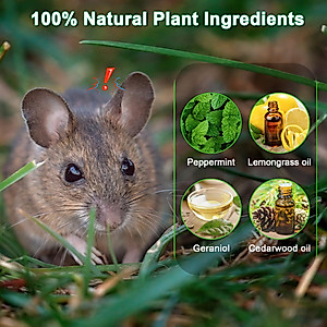 36 Pack Mice Repellent - Peppermint Oil Rat Repellent Ball for House Garage Garden Car Engine Indoor, Mouse Deterrent for Outdoor, Keep Mice Out Natural Pest Repellent Pet Safe