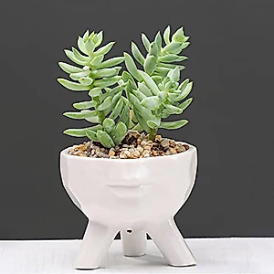 YONGYAN Face Shape Flower Pot Statue Decoration Ceramics Garden Head Planters Containers Pot Bookshelf Office Desktop Decor