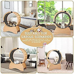 Hooseng Cat Exercise Wheel, Cat Treadmill with Carpeted Runway and Noiseless Roller, Cat Running Wheel for Pet Loss Weight and Daily Exercise