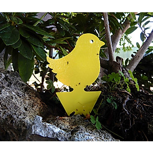 21C 21 CENTURY SOLUTIONS Yellow Sticky Fly Traps (25 Pack) for Gnat Whitefly Fungus Gnat Aphid Small Insects - Houseplant Disposable Glue Trappers - Bug Catcher - Bird Shape