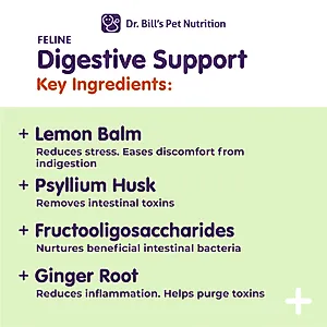 Dr. Bill's Feline Digestive Support Cat Prebiotics and Probiotics with Ginger Root, Psyllium Husk, Lemon Balm & More | 41 Active Ingredients for Better Digestion & Gut Health | Made in The USA