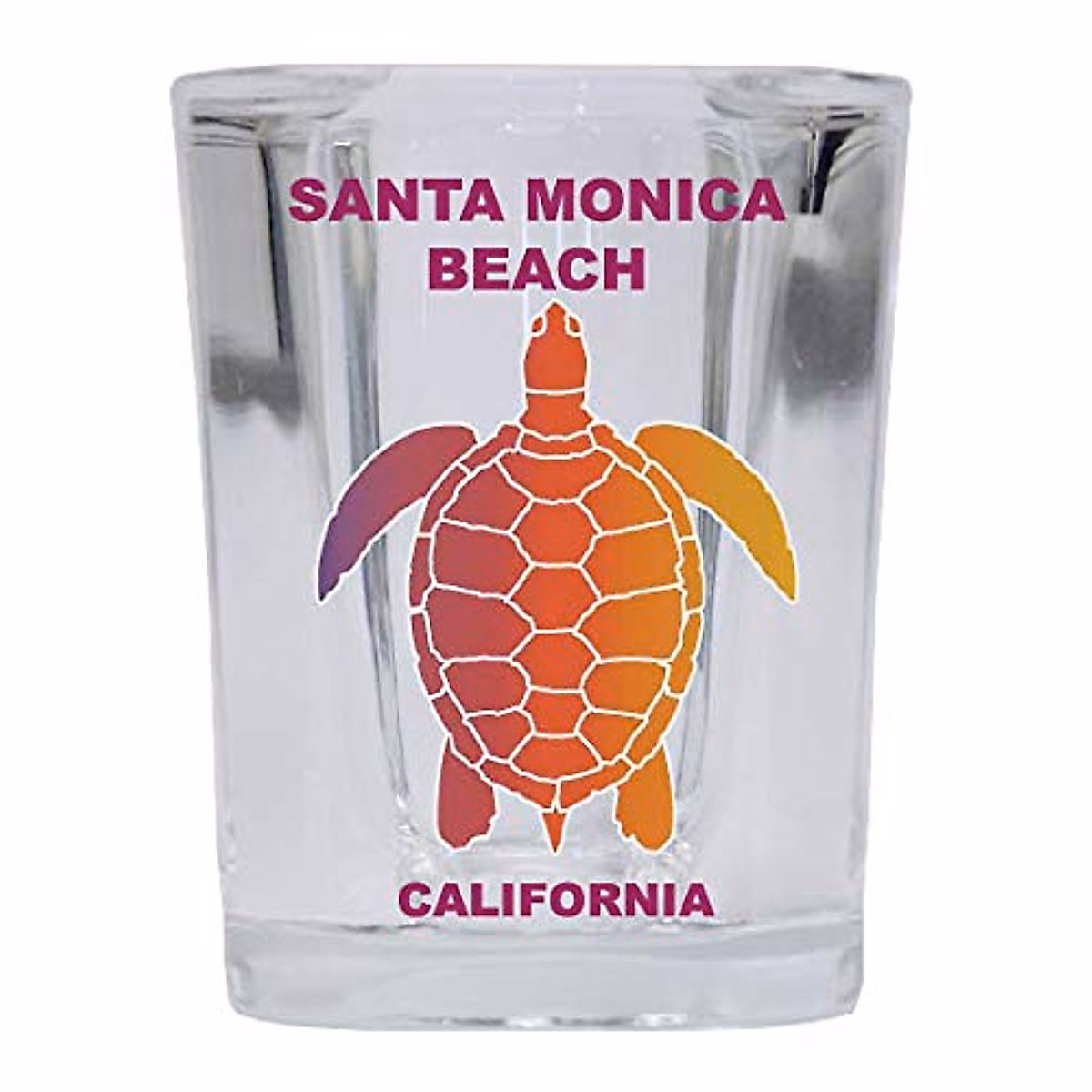 Santa Monica Beach California Souvenir Rainbow Turtle Design Square Shot Glass