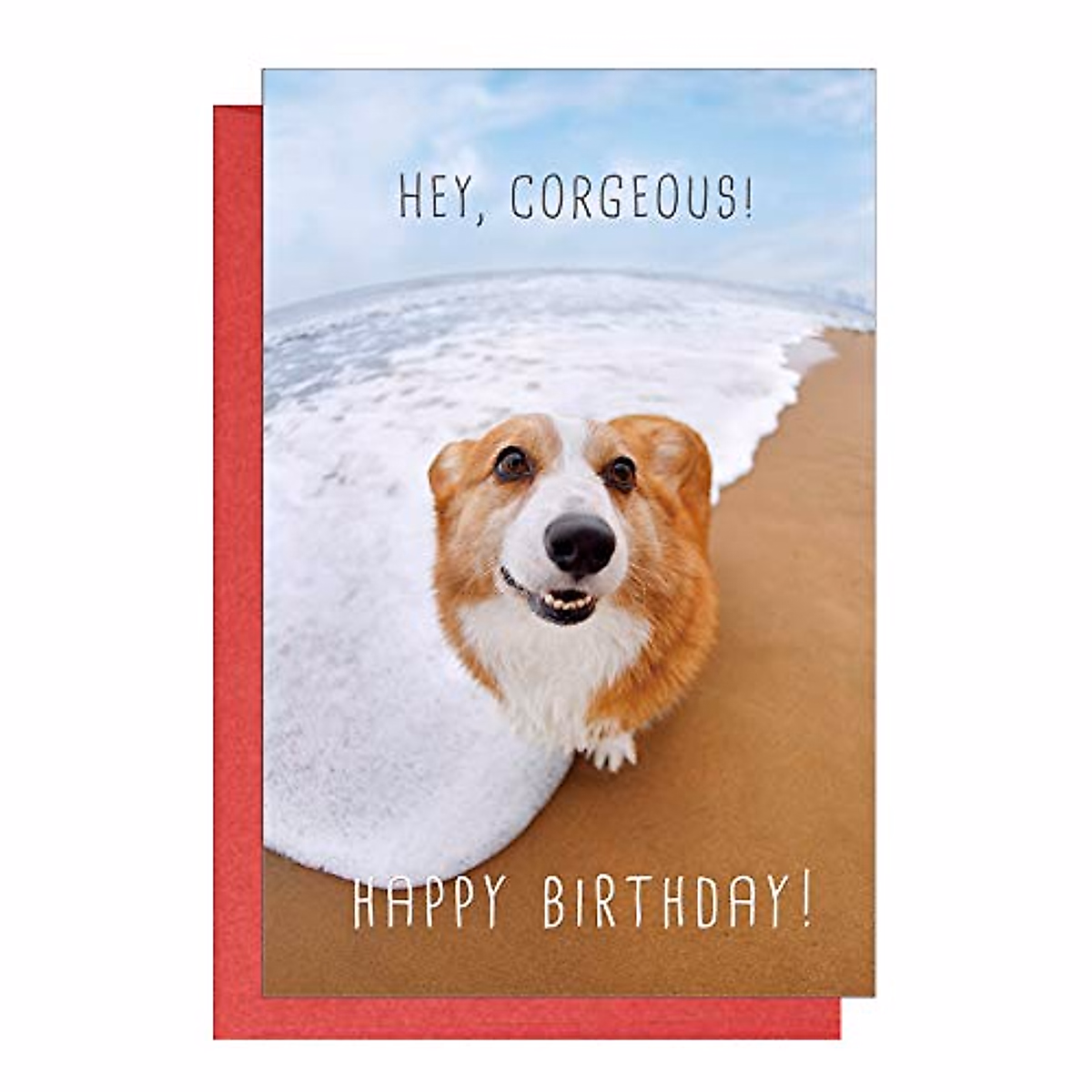 Maplelon Corgi Birthday Card, Corgeous Dog Bday Card for Husband Boyfriend Friend Corgi Lover, Funny Card