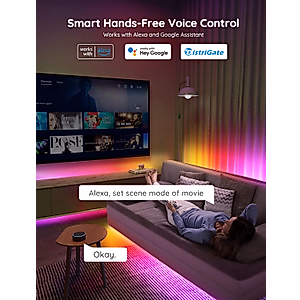 Govee 65.6ft RGBIC LED Strip Lights for Bedroom, Smart LED Strip Lights Alexa Compatible, DIY Multiple Colors on One Line, Color Changing LED Lights Music Sync, Festival Decoration, 2 Rolls of 32.8ft