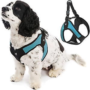 Gooby Turquoise X-Small Easy Fit Harness - No Pull Patented Design for Small Dogs with Quick Release Buckle