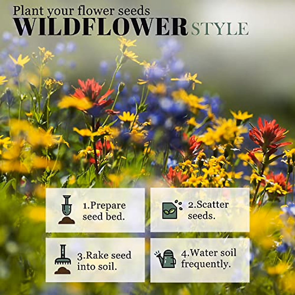 Sow Right Seeds - Purple Coneflower/Echinacea Flower Seeds for Planting - Non-GMO Heirloom Seed - Full Instructions to Plant an Herbal Tea Garden - Great Gardening Gift (1)…