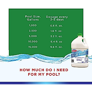 HTH 67045 Algae Guard 10 for Swimming Pools, 1 gal
