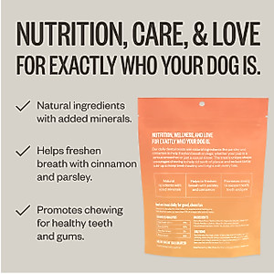 Ollie Belly Rubs Dog Probiotic Chews - Probiotics for Dogs and Ollie Dental Chews for Dogs Medium -Dog Breath Treats