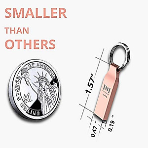 MOSDART 64GB Metal USB 2.0 Flash Drive 2 Pack exFAT Thumb Drive with Keychain 64 GB Waterproof Jump Drive 64G Memory Stick for Data Storage and Backup, Rose Gold
