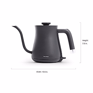 BALMUDA The Kettle | Electric Lightweight Gooseneck Kettle | Stainless Steel | 0.6L (20fl oz) Capacity | Neon Light Indicator | Perfect for Tea and Coffee | K02H-BK | Black | US Version