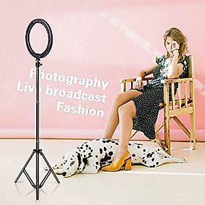 Ring Light 10" with 67" Extended Tripod Stand & Phone Holder for YouTube Video, Camera Led Ring Light for Streaming, Makeup, Selfie Photography Compatible with iPhone Android