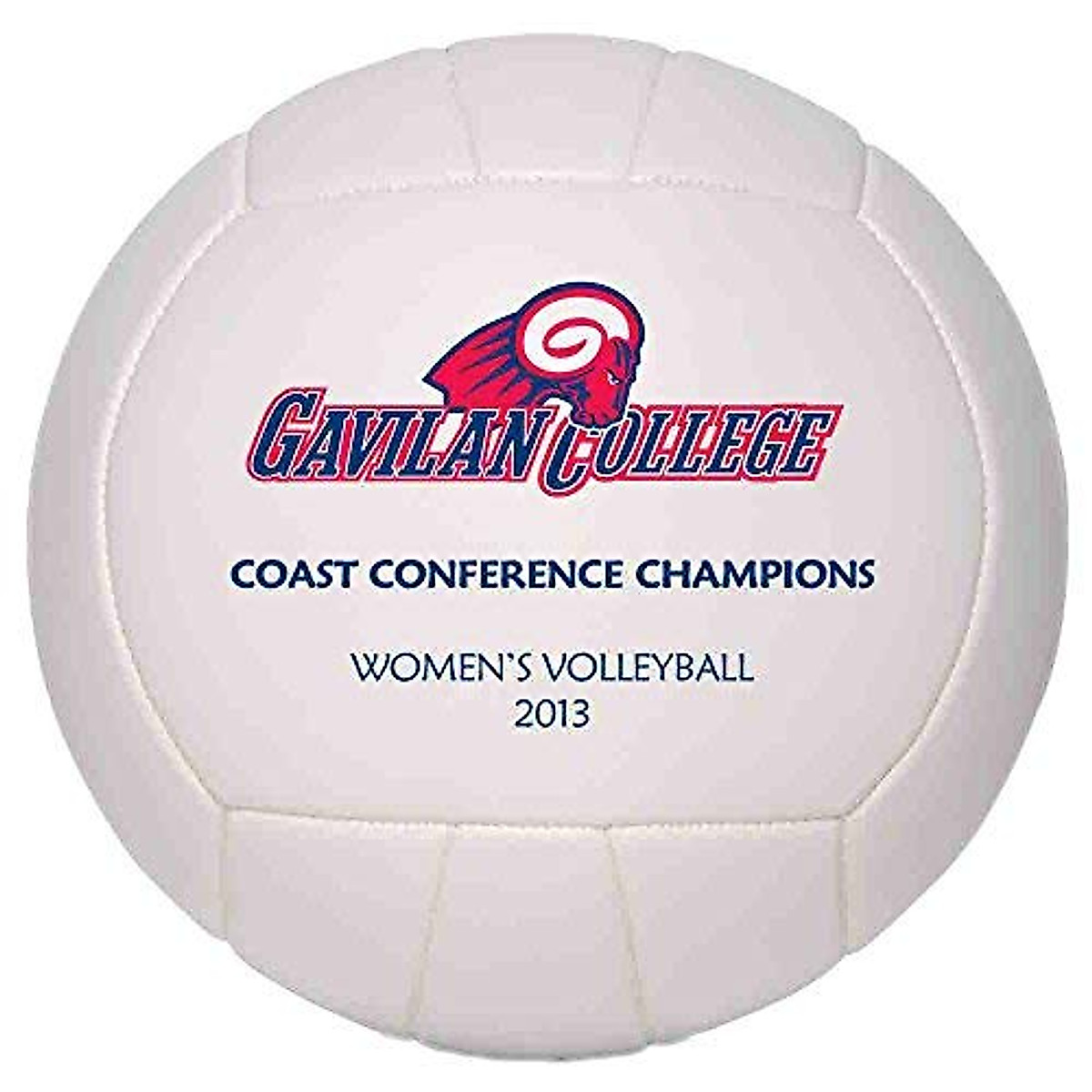 Personalized Custom Photo Regulation Full Size Volleyball - Any Image - Any Text - Any Logo