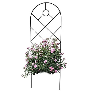 Garden Trellis for Climbing Plants Metal Vine Plant Support Trellis Climbing Rose Trellis Rustproof Plant Support for Potted Plants Flowers Vegetable