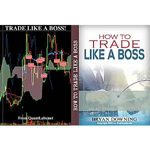 Algo Trading and Python Bot DVD (Algo Trading and Python Bot DVD)