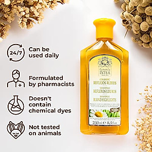 Intea Chamomile Shampoo - Premium Blonde Brightening Shampoo - Non-Ammonia, Easy Application for Natural or Dyed Hair - 8.5oz