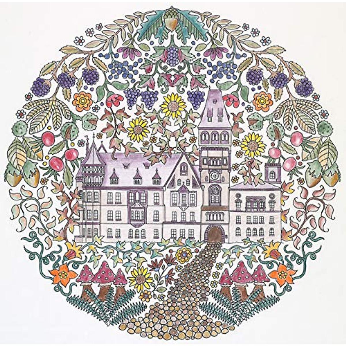 Polychromos 120 Pencil Wood Box Set