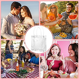 BESARME 20 Pack 6.3" x 5.9" x 2.8" Clear Gift Bags with Handle, Reusable Plastic Small Gift Bags for Party Favors Christmas Wedding Birthday