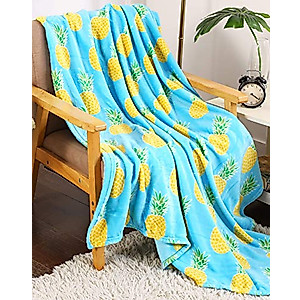 Summertime Whimsy Plush Fleece Throw Blanket (50" x 60") - Pineapple