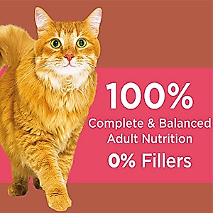 IAMS PROACTIVE HEALTH High Protein Adult Dry Cat Food with Chicken & Salmon Cat Kibble, 13 lb. Bag