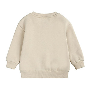 RUKOSU Toddler Baby Boy Girl Fleece Pullover Sweatshirt Solid Color Crewneck Blouse Shirt Tops Warm Fall Winter Clothes Apricot 2-3T