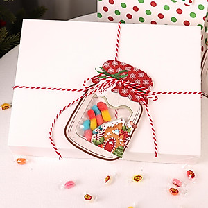 Giiffu Christmas Party Favors for Kids - 48 Pack Mason Jar Paper Card Craft Bulk with 48 Treat Bags for DIY Kids Birthday Party Favor, Classroom Gifts, Xmas Gifts Holiday Supplies (Candy Not Included)
