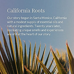 Archipelago Botanicals Malibu Luxe Candle | Sea Grass, Fig and Lily | Coconut Wax Blend and Double Wicks | Burns Approx. 100 Hours (13 oz)