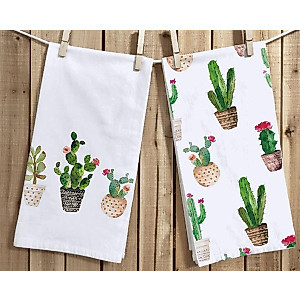 Watercolor Cactus Kitchen Dish Towel 18 x 28 Inch, Seasonal Spring Summer Cacti Towels Dish Cloth for Cooking Baking Set of 2