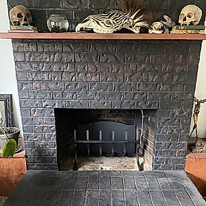 Titan High-Efficiency Log Grate with Reflective Fireback 26" Wide, 15.5" Tall