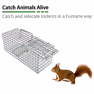 Anyhall Live Animal Cage Trap for Squirrels