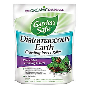 Garden Safe Insect Killer, 1-count