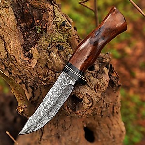HK Knives Handmade 10''Hunting Knife,Forged Damascus for men,Bushcraft knife with Non-Slip Walnut Wood Handle & Leather Sheath,Damascus best Outdoor Indoor Camping,Survival,Skinning, Rose wood, 5x5