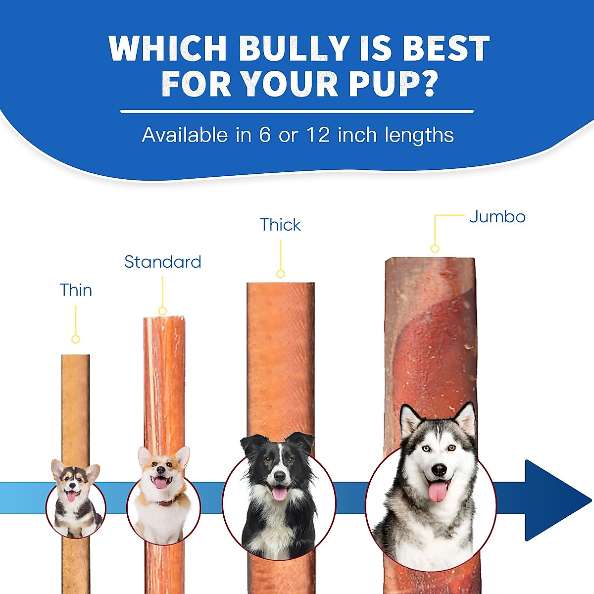 Elite Woof Bully Sticks for Dogs Puppies - 6 Inch Standard 100% Natural Dog Treats, Grass-fed Beef Dog Chews, Grain-Free, High Protein, Long-Lasting Pet Food for All Dog Breeds (6 Pack)