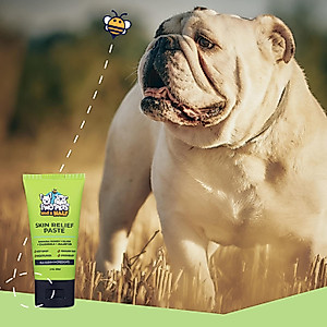 Bulldog Hot Spot Treatment 2Oz-Wound Care Ointment w/Silver & Honey-French Bulldog Itch Relief for Allergy,English Bulldog Lotion for Dry Skin and Healing Balm-Skin Soother for Dog-Lotion for Dry Skin