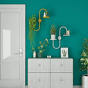 Stylish Simplicity Shelf Wall Mounted Floating Rack Shelves Metal Iron Art Flower Pot Holder Storage Multifunction Restaurant Cafe,3 Colors,2 Layer, PIBM, White, 45.5x15x56cm