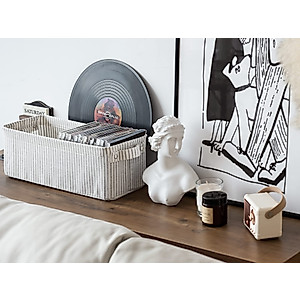 StorageWorks 2-Pack Narrow Storage Bins with 2-Pack Storage Bins