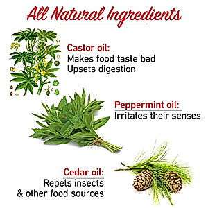 I Must Garden Mole & Vole Repellent: Professional Strength – Twice The Coverage – All Natural Ingredients - Pleasant Scent - 10lb