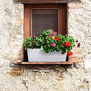 Herb Planter with Tray, GREANER 1 Pack 12x3.8 Inch Rectangle Window Box, Indoor Succulent Flowers Succulent Plastic Pot for Windowsill , Garden, Balcony, Office Outdoor Decoration - White