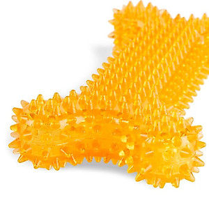 Leaps & Bounds Spiny Bone Assorted Medium Chew Toy for Dogs