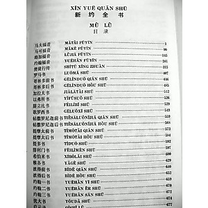 Pinyin New Testament Bible in Simplified Chinese. 拼音新约圣经 (简). 拼音新約聖經 (簡)