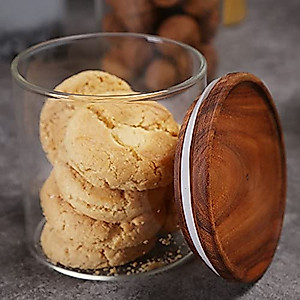 Mason Jars Mason Jars Glass Canister Jars Glass Kitchen Canisters with Airtight Bamboo Lid Cylinder Storage Containers for Flour Sugar Coffee Cookie Candy Snack and More 9. 5x13. 2 Terrarium/183 ( Col