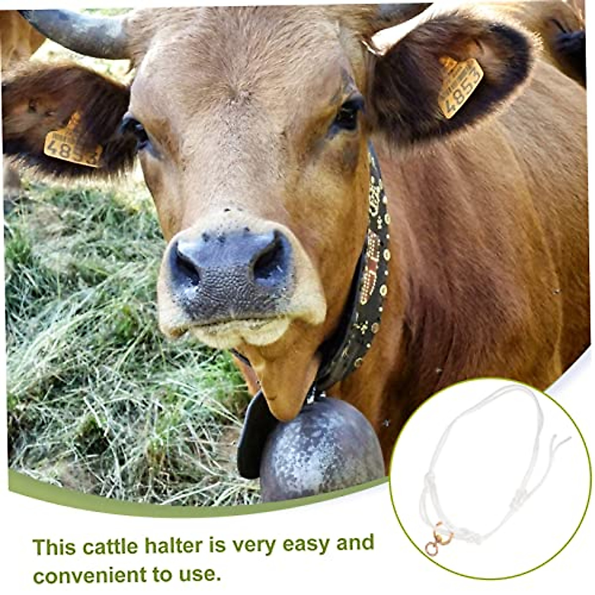 BESPORTBLE 4pcs Bull Bridle Cowboys Lanyard Adjustable Rope Halter frenos para caballos Calf Halter Poly Rope Iron White Cattle Supplies Safety Halter Portable Cattle Halter Simple Suspenders