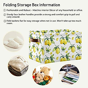 Moudou Lemon Laundry Basket Square Collapsible Laundry Hamper Clothes Toys Storage Bin with Handles for Bedroom, Closet, Nursery, Dorm, Home Decor
