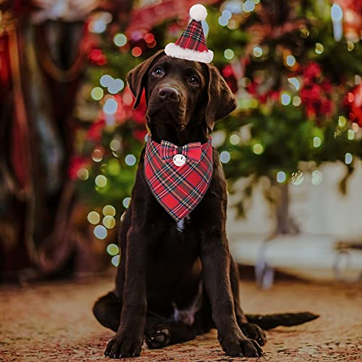 ADOGGYGO Christmas Dog Bandana Hat Bowtie, Red Plaid Dog Christma Bandana Scarf Xmas Dog Hat Cute Plaid Dog Bow, Dog Christmas Costume Accessories for Small Medium Large Dogs Pets (Large, Red-2)